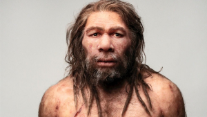 Riwayat Homo sapiens hingga Menjadi Spesies Manusia Satu-satunya di ...
